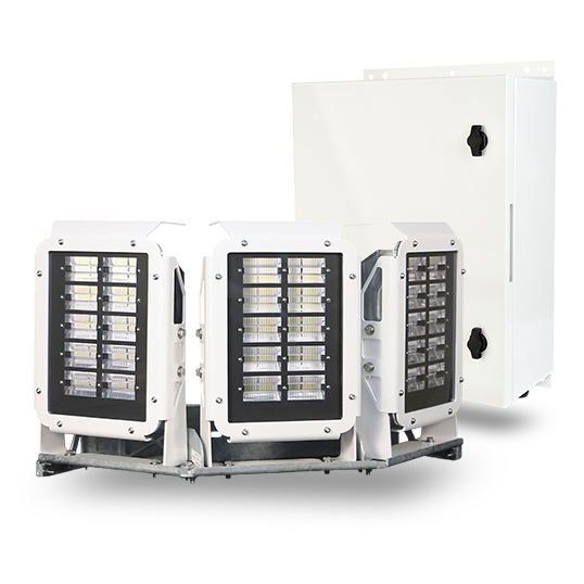 Vanguard Software | Flash Technology